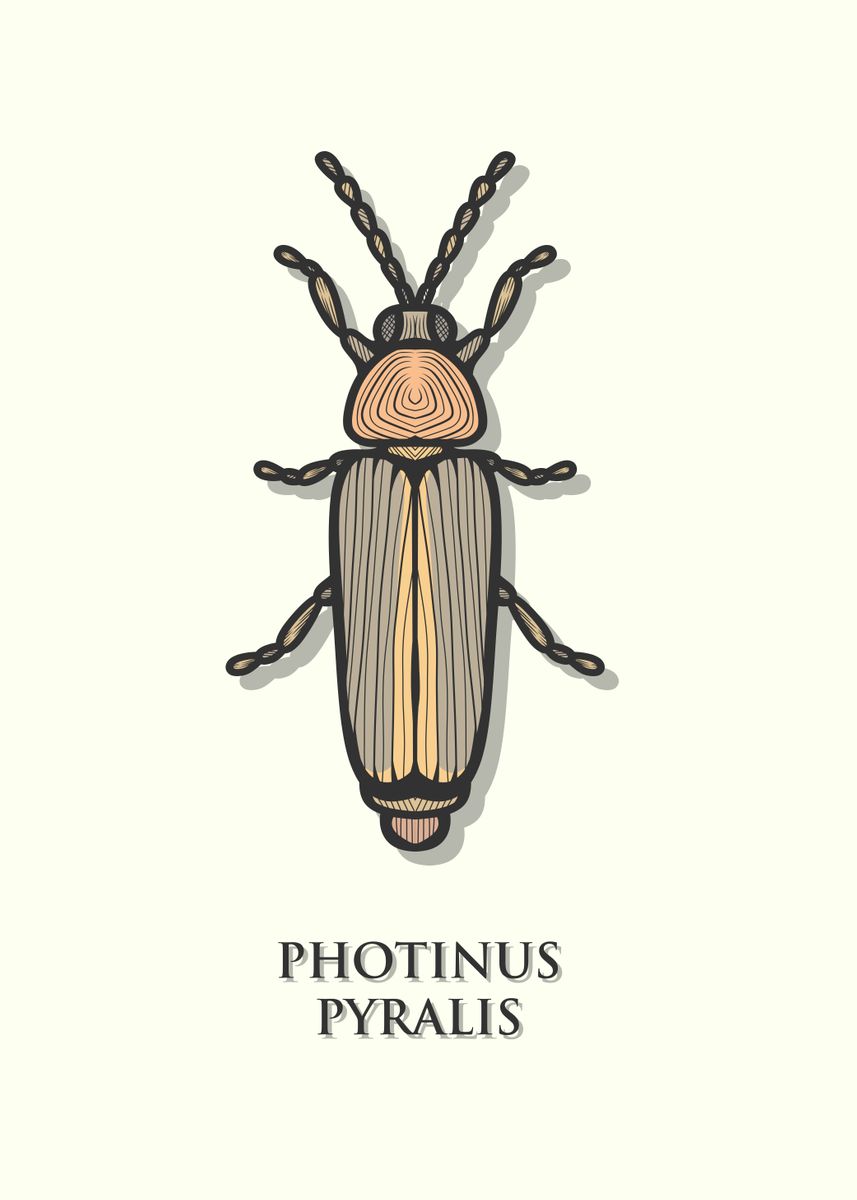 'Eastern Firefly' Poster, picture, metal print, paint by Milhad Art ...