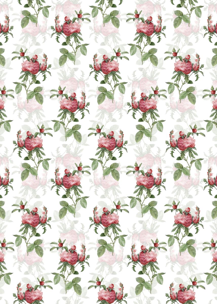 'White Cabbage Rose Pattern' Poster, picture, metal print, paint by ...