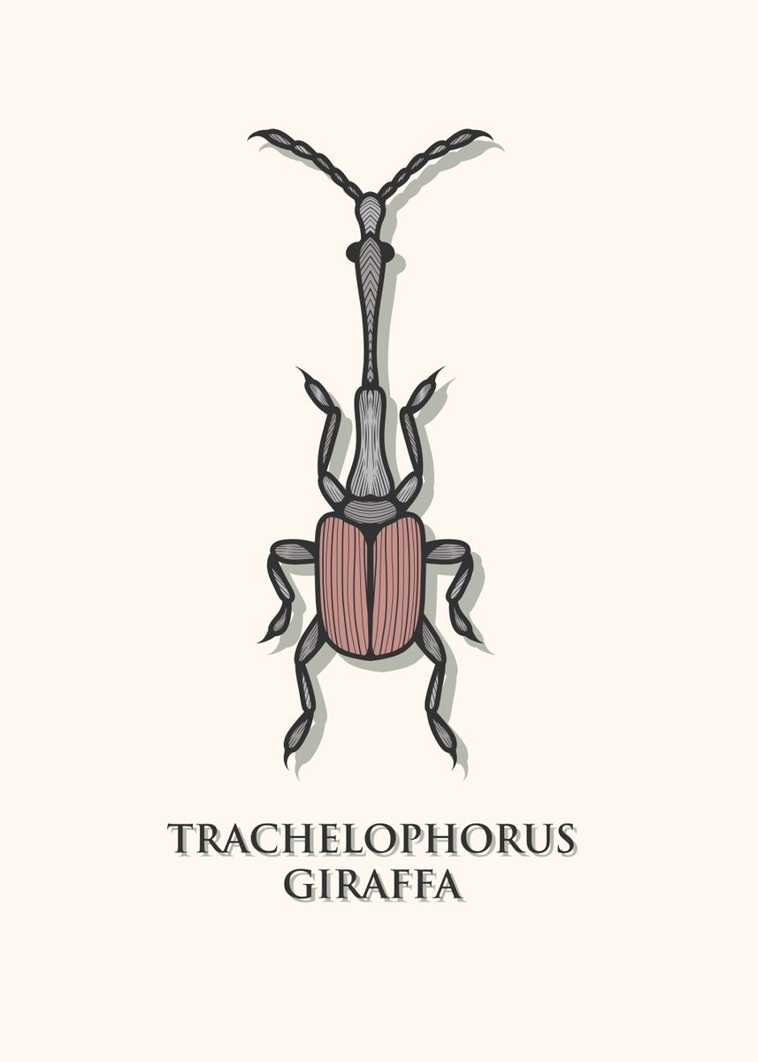 'Giraffe Weevil' Poster, picture, metal print, paint by Milhad Art ...