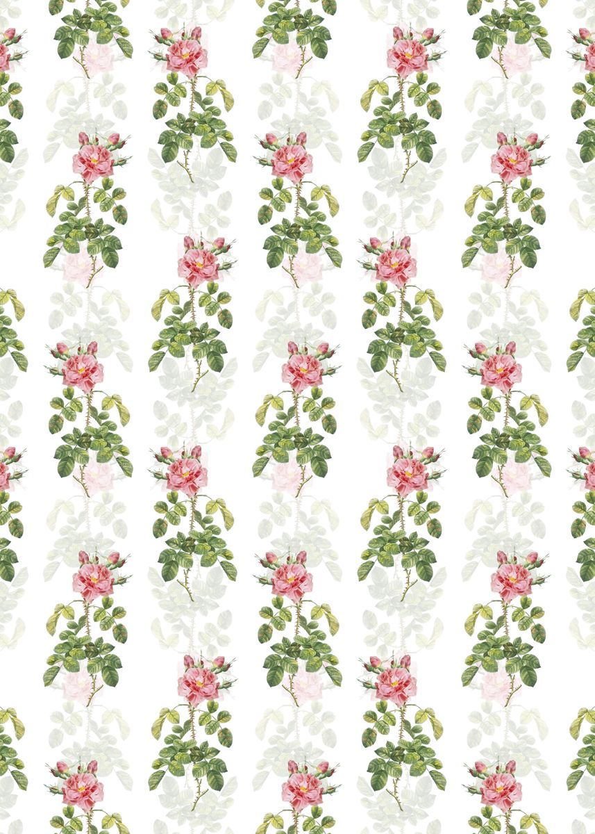 'Four Seasons Rose in Bloom' Poster, picture, metal print, paint by ...