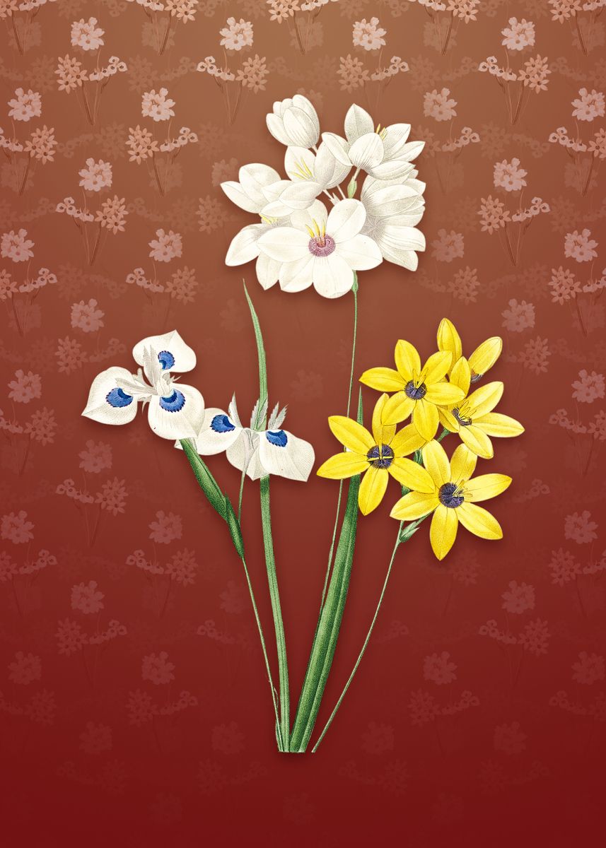 'Corn Lily on Falu Red' Poster, picture, metal print, paint by Holy ...