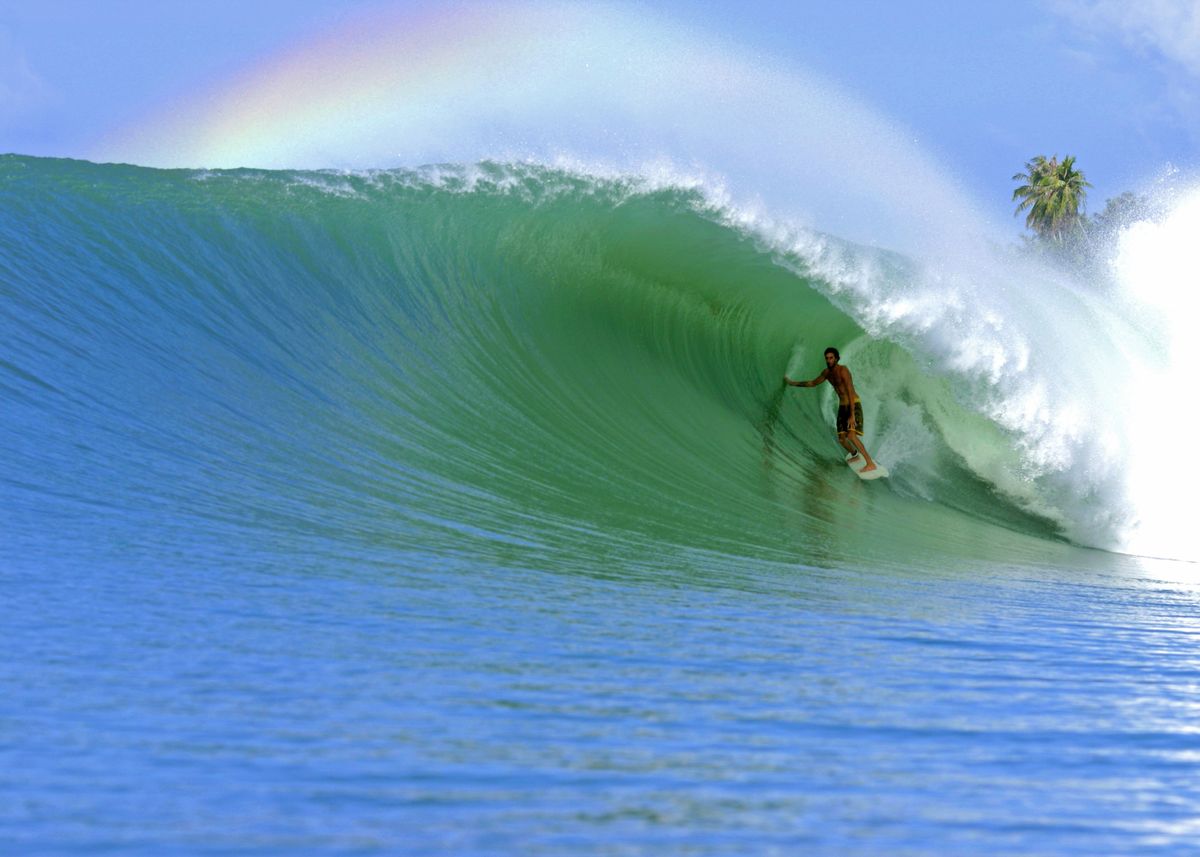 'Surfing The Perfect Wave' Poster by Paul Kennedy | Displate