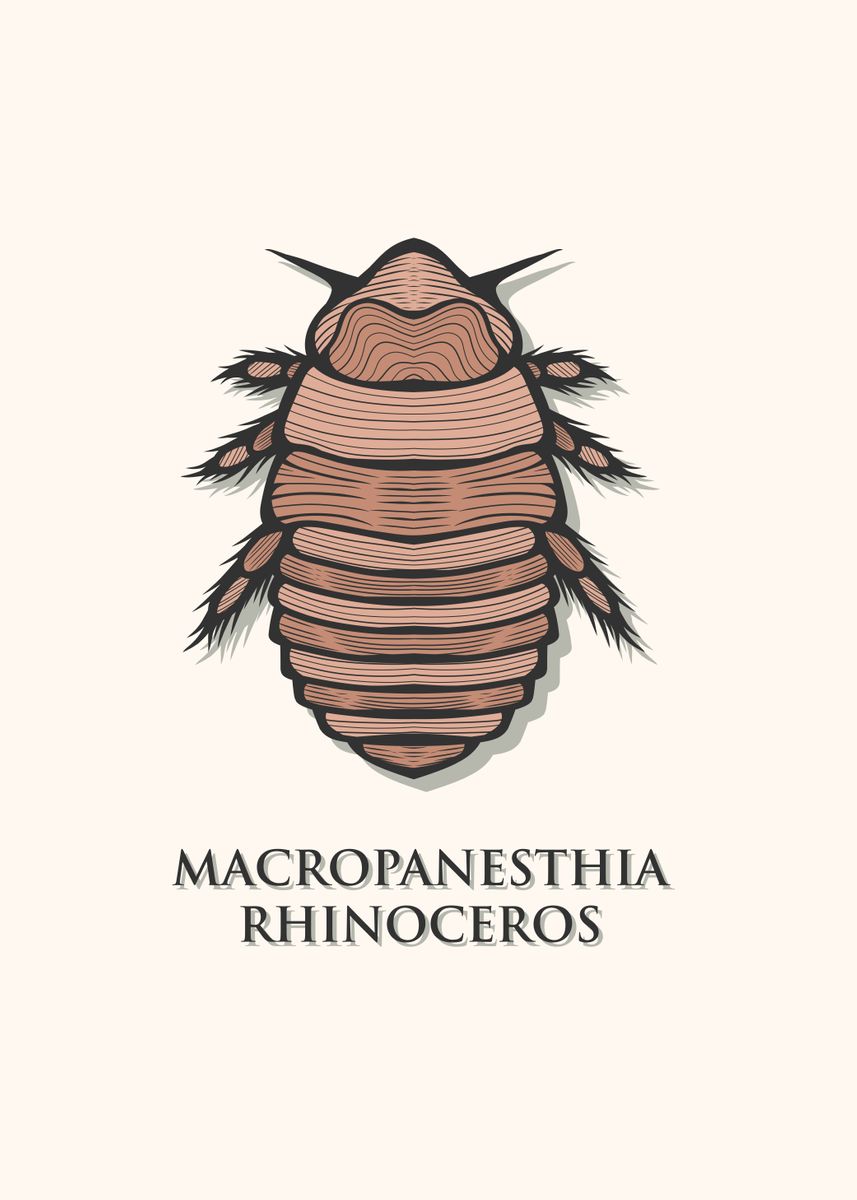 'Giant Burrowing Cockroach' Poster, picture, metal print, paint by ...
