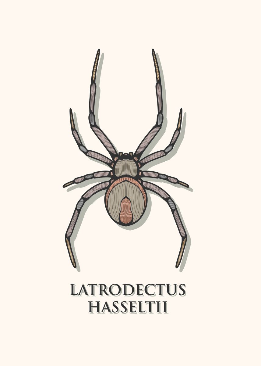 'Redback Spider' Poster by Milhad Art | Displate