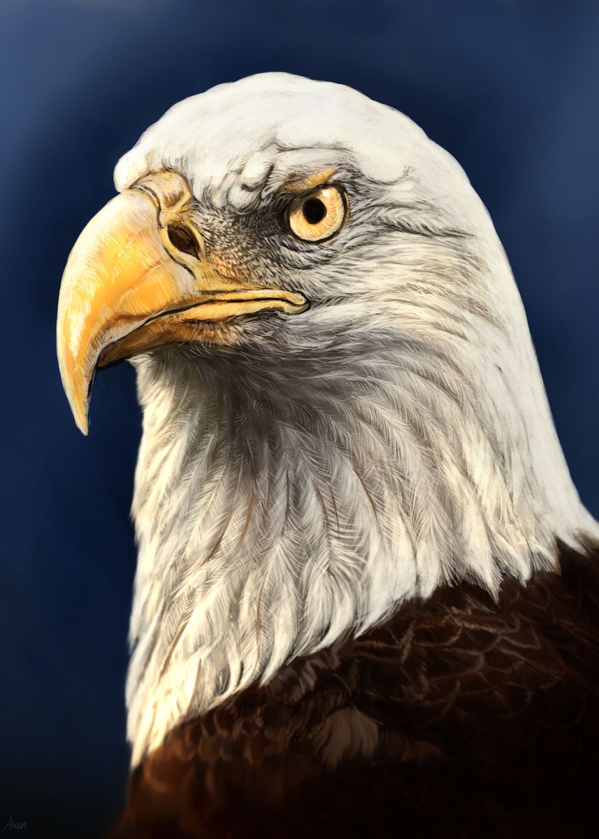'Courage the Eagle' Poster, picture, metal print, paint by ...