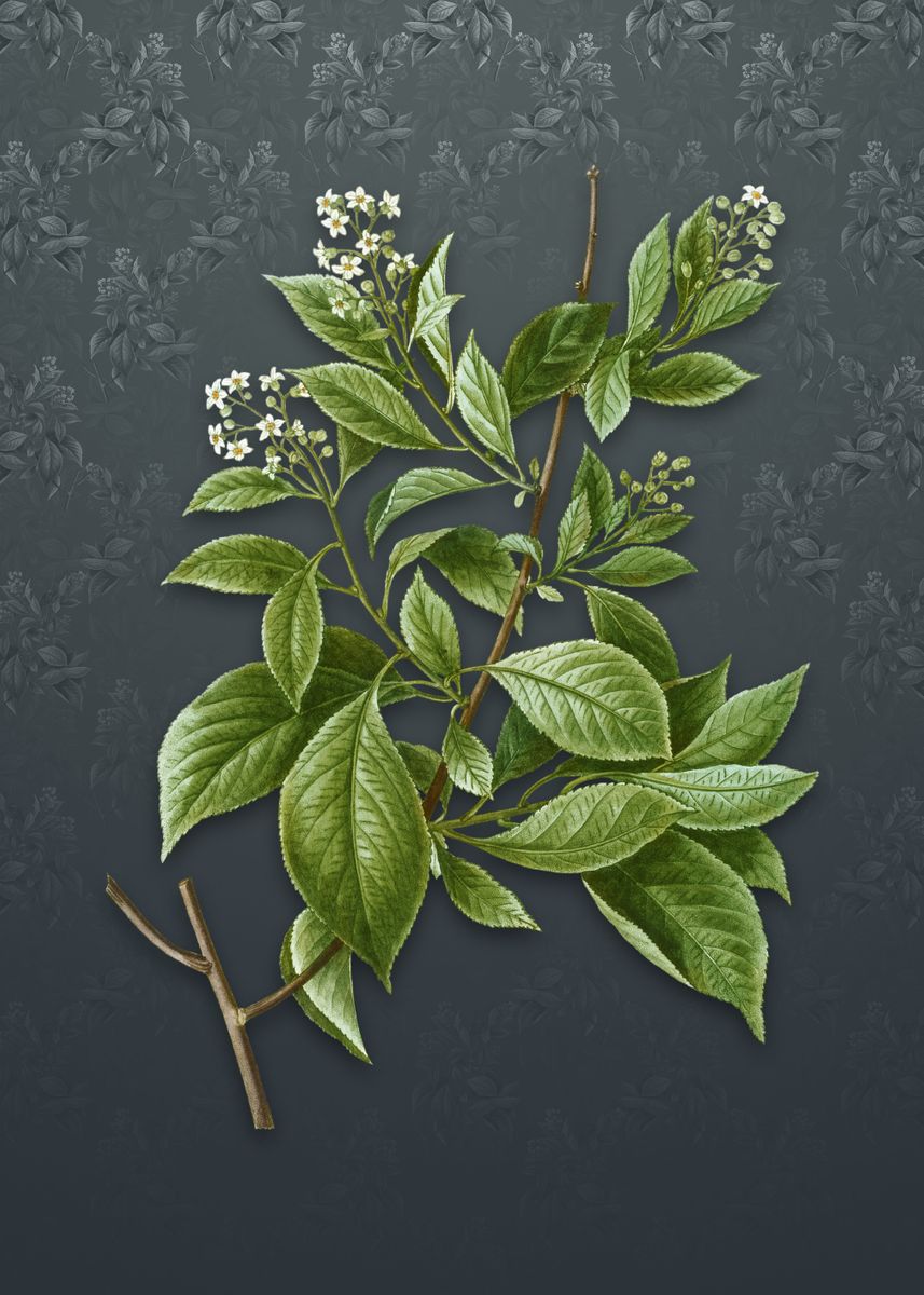 'American Bittersweet' Poster, picture, metal print, paint by Holy Rock ...