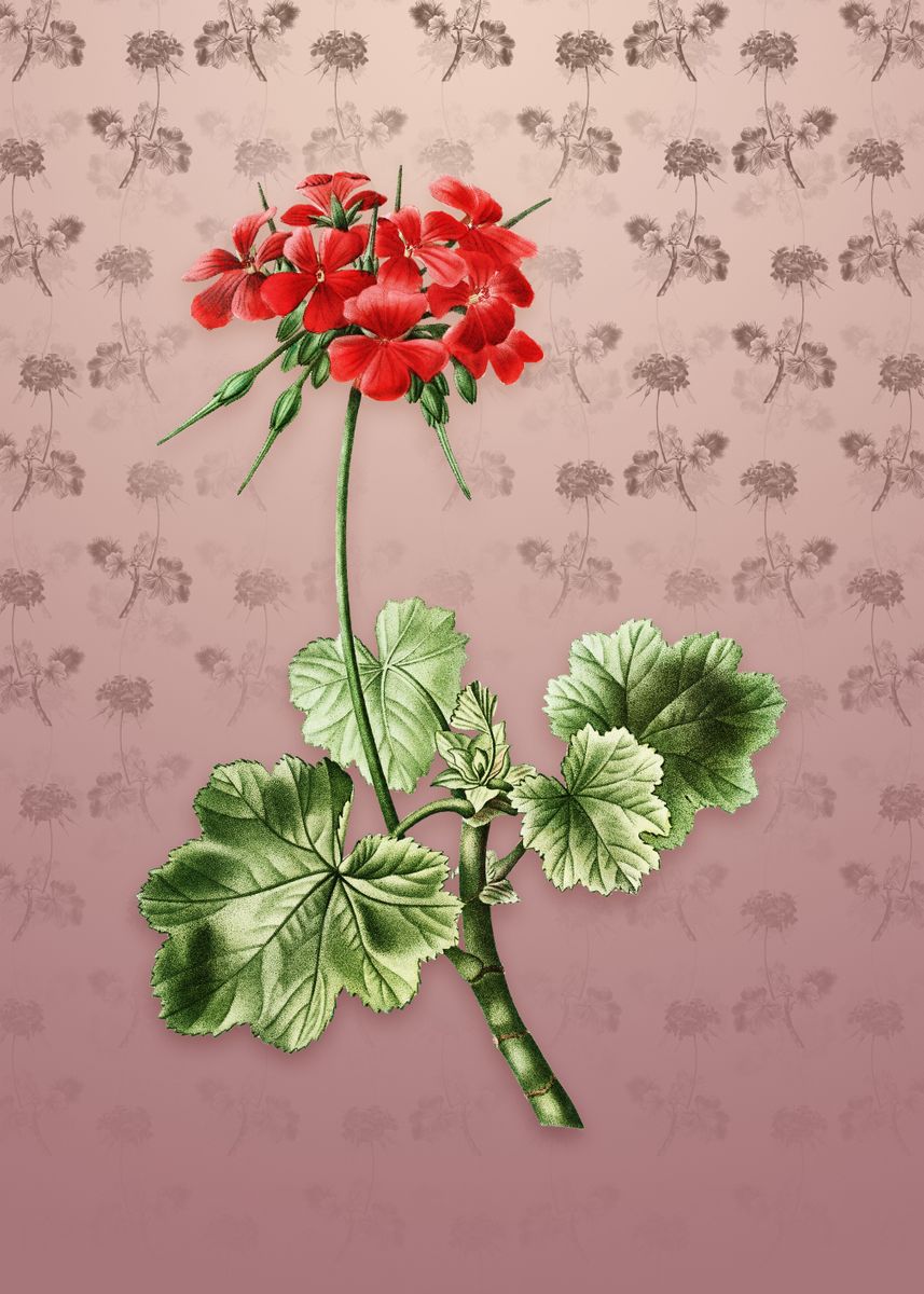 'Vintage Scarlet Geranium' Poster, picture, metal print, paint by Holy ...