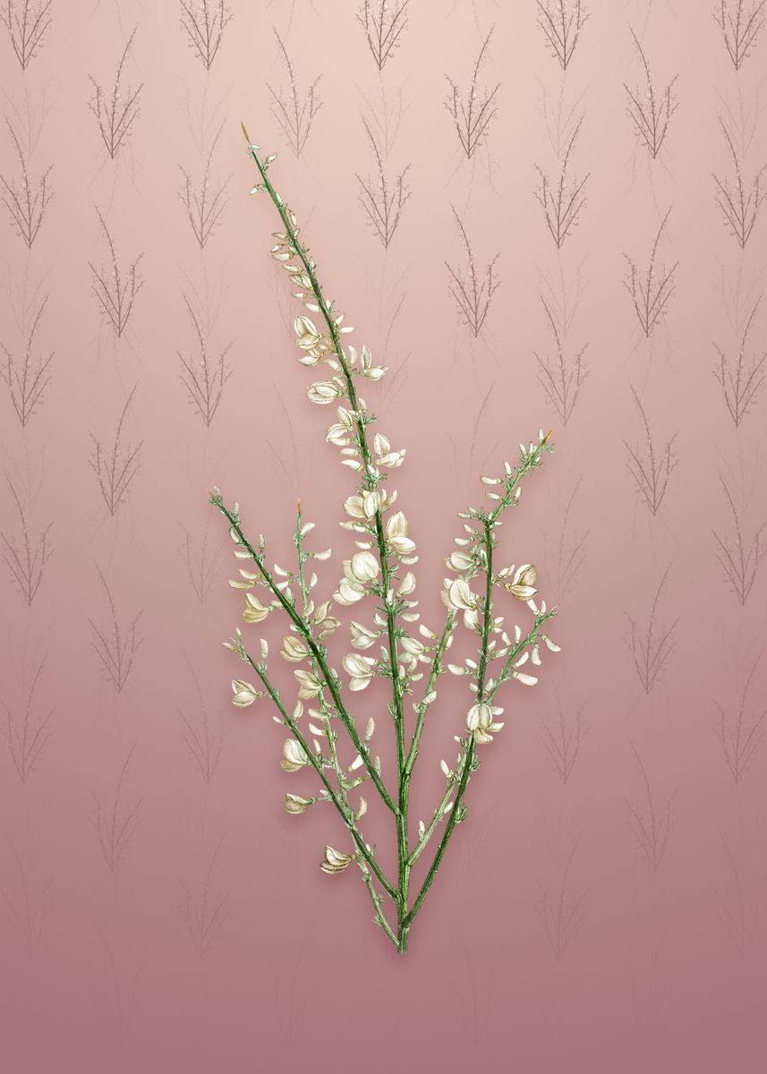 'Vintage White Broom' Poster, picture, metal print, paint by Holy Rock ...