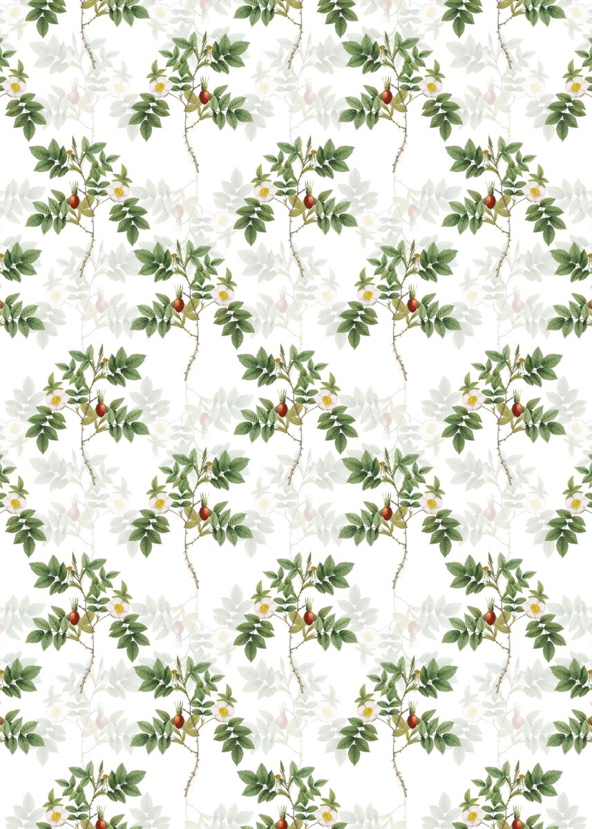 'White Mountain Rose Bloom' Poster by Holy Rock Design | Displate