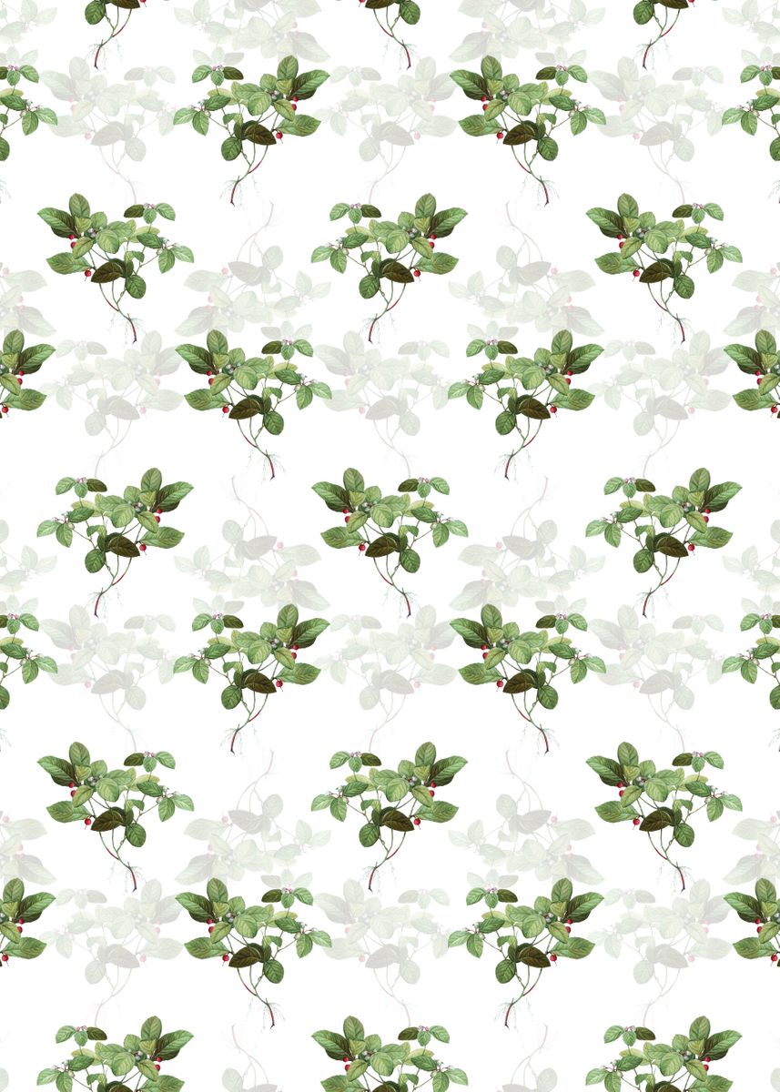 'American Wintergreen Plant' Poster by Holy Rock Design | Displate