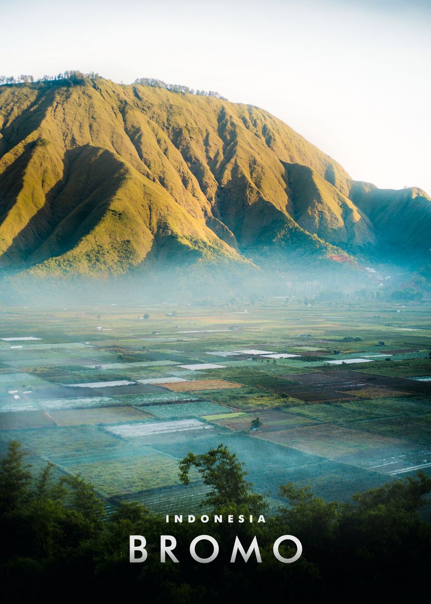 'Bromo Mount ' Poster, picture, metal print, paint by Pitch Photography | Displate