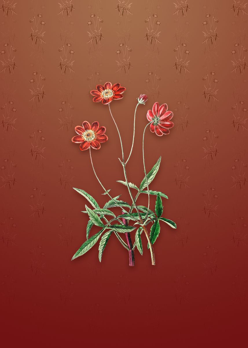 'Vintage Cosmos Flower' Poster by Holy Rock Design | Displate