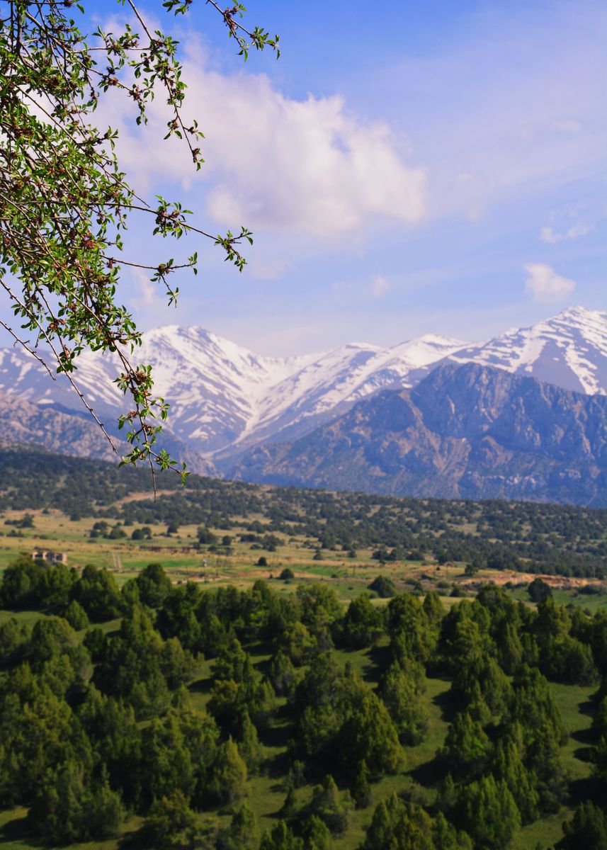 'Zomin mountains' Poster, picture, metal print, paint by VAHOB FOZILOV ...