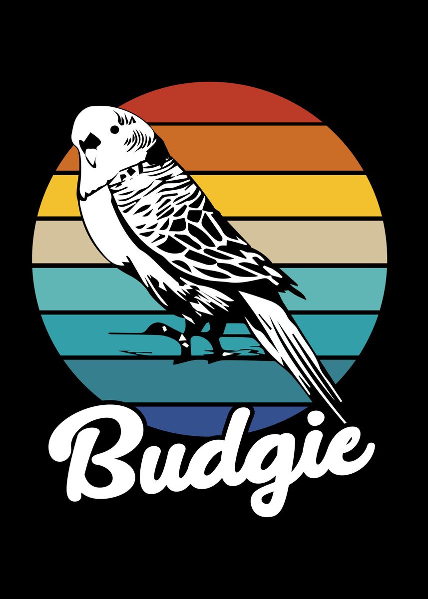 'Budgie Retro Budgerigar' Poster, picture, metal print, paint by ...