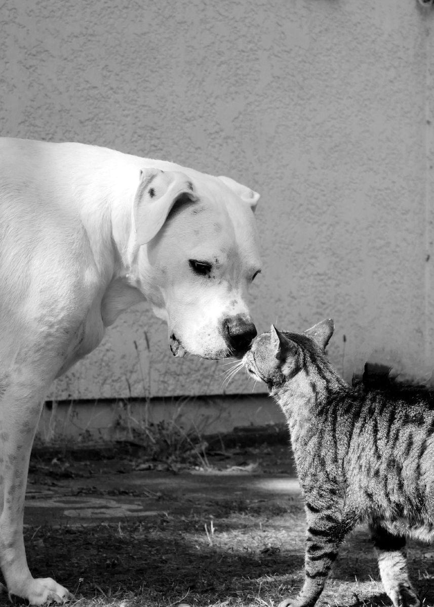 'MaikoBonhomme' Poster, picture, metal print, paint by Robin MARCHAND ...