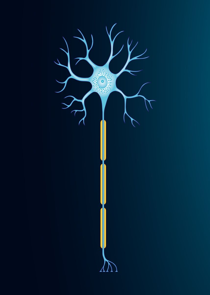 'Neuron Synapse Structure' Poster by Science Design | Displate