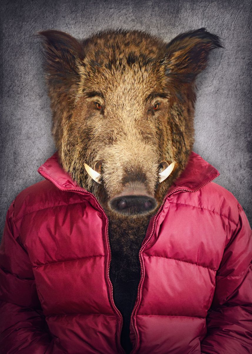 'Boar in clothes' Poster, picture, metal print, paint by Bramcrye ...