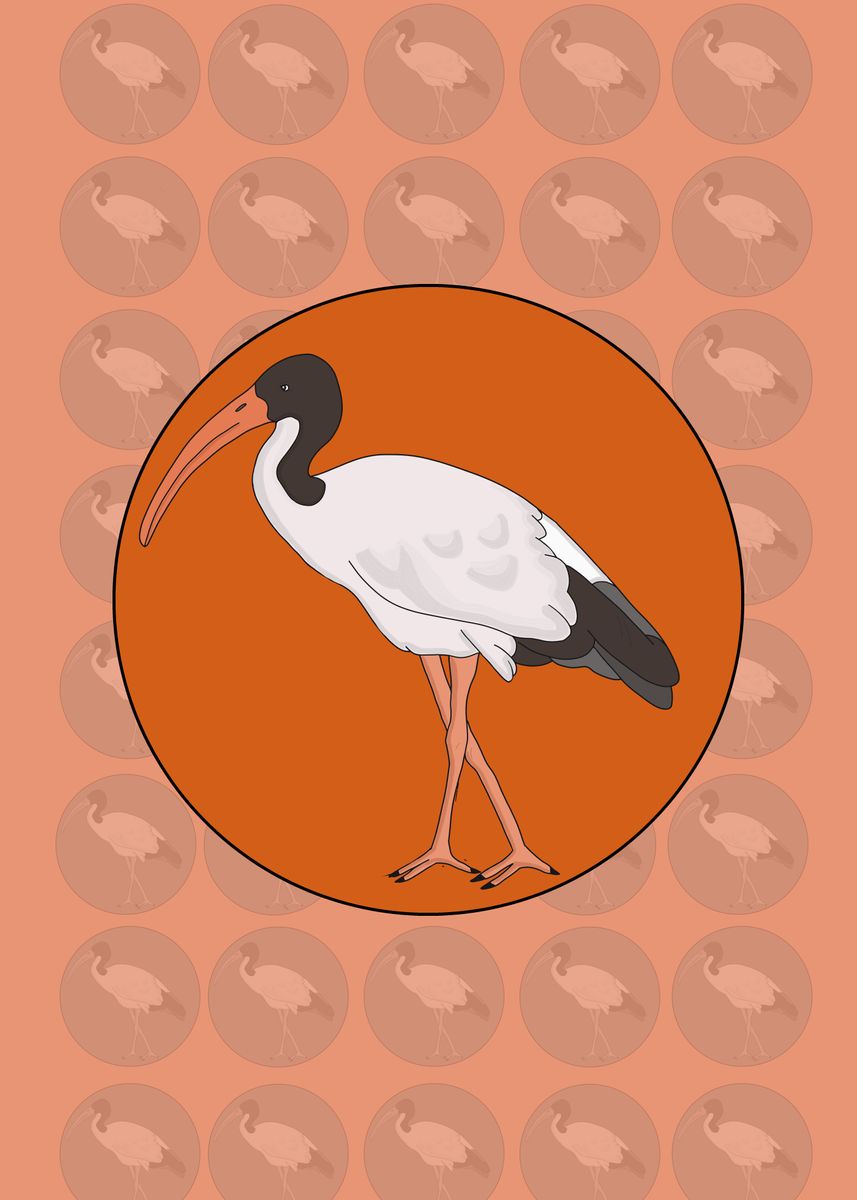'Ibis Bin Chicken Bird' Poster, picture, metal print, paint by diego ...
