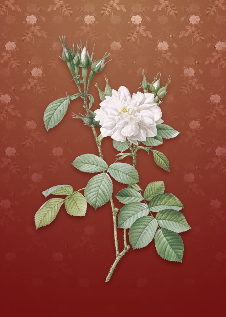 'Vintage Autumn Damask Rose' Poster, picture, metal print, paint by ...