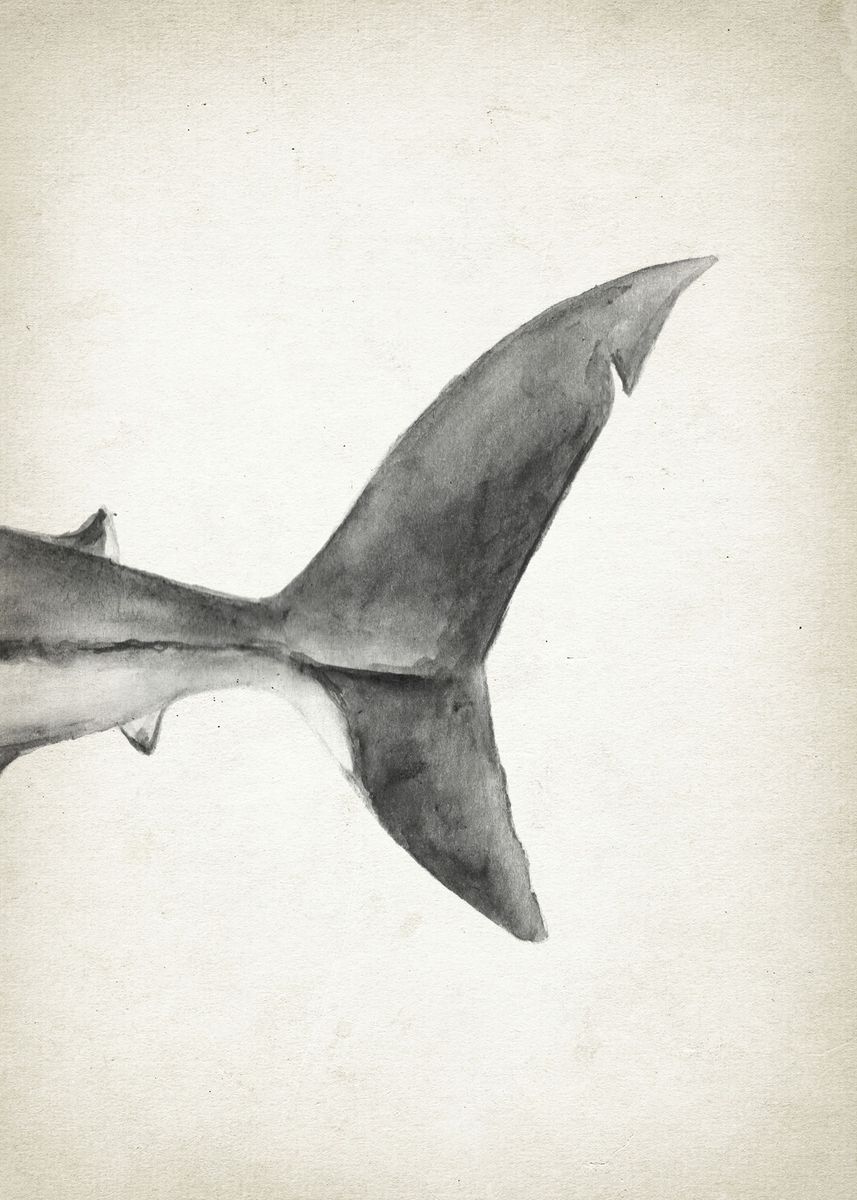 'Great White Shark Part 3' Poster, picture, metal print, paint by ...