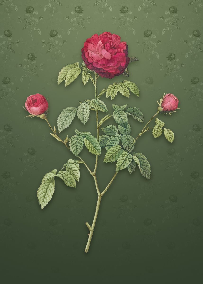 'Agatha Rose in Bloom' Poster, picture, metal print, paint by Holy Rock ...