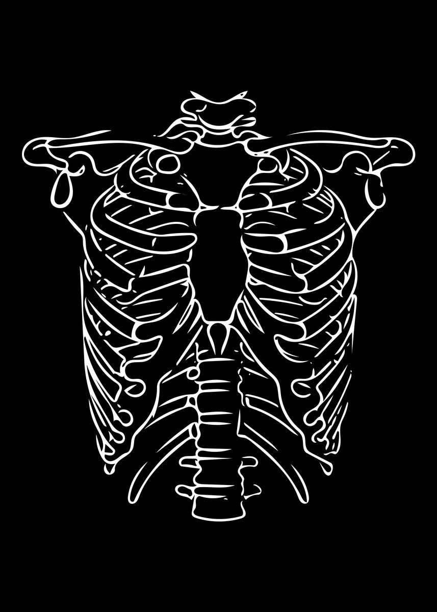 'Ribcage Line Art Minimal' Poster, picture, metal print, paint by Chris ...