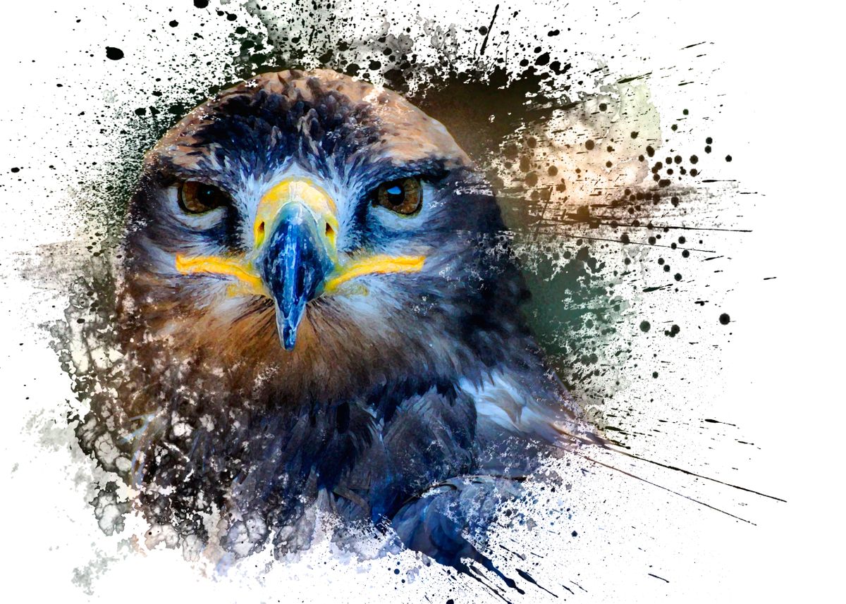 'Falcon Art' Poster by NTx Photography | Displate