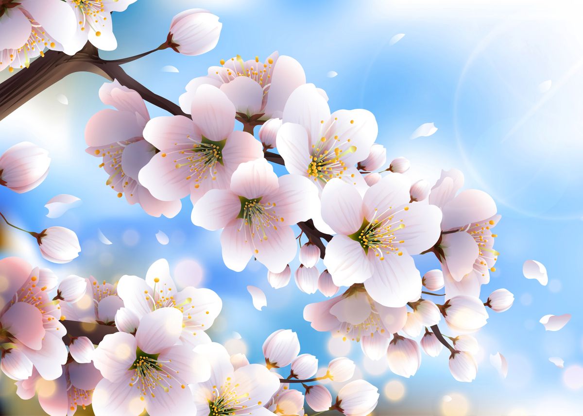 'Japanese Sakura' Poster by Chisato Nishikigi | Displate