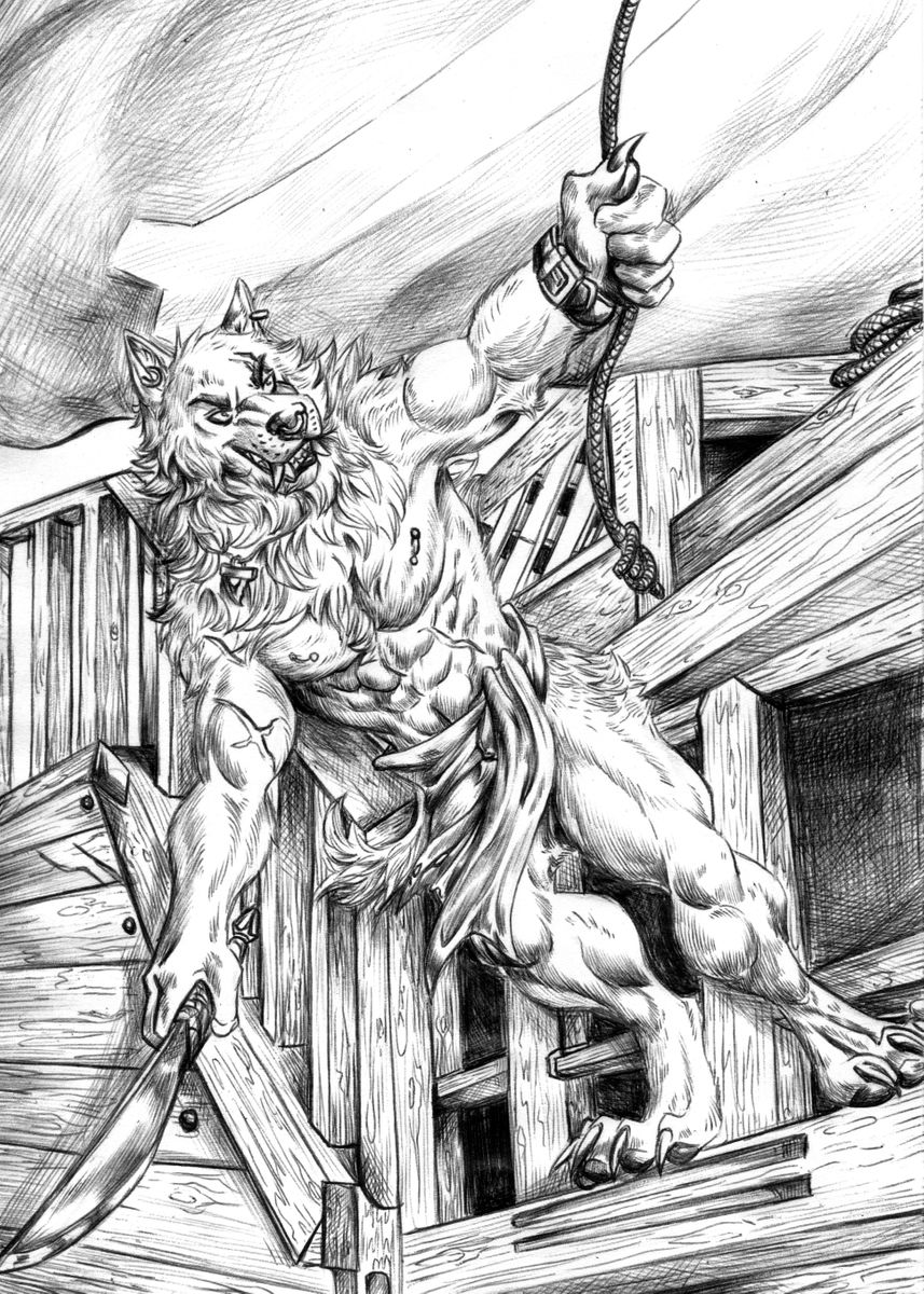 'Werewolf pirate 1' Poster, picture, metal print, paint by Furiarossa ...