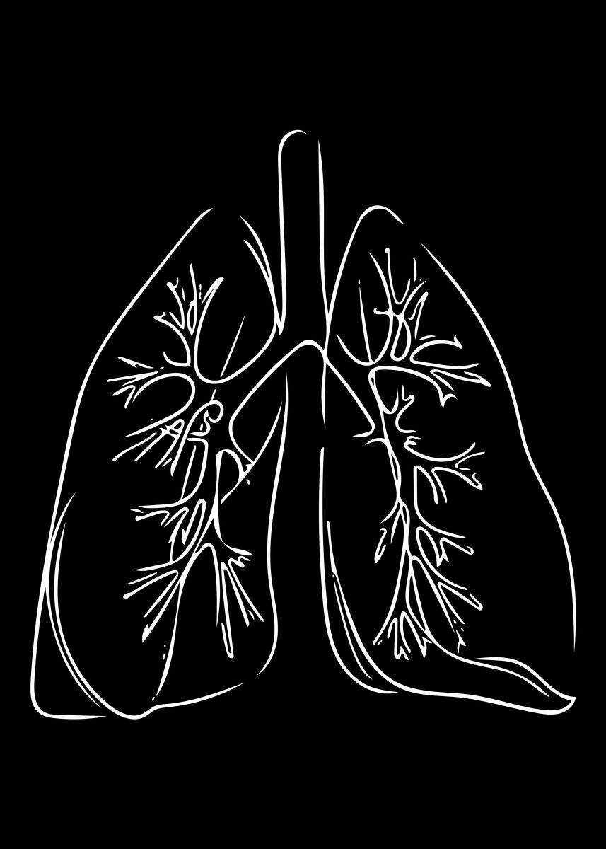 'Lungs Line Art Minimal' Poster by Chris Hartmann | Displate