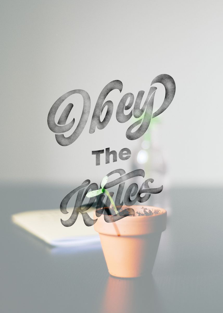 'Obey the Rules' Poster, picture, metal print, paint by Hasny Nothing ...