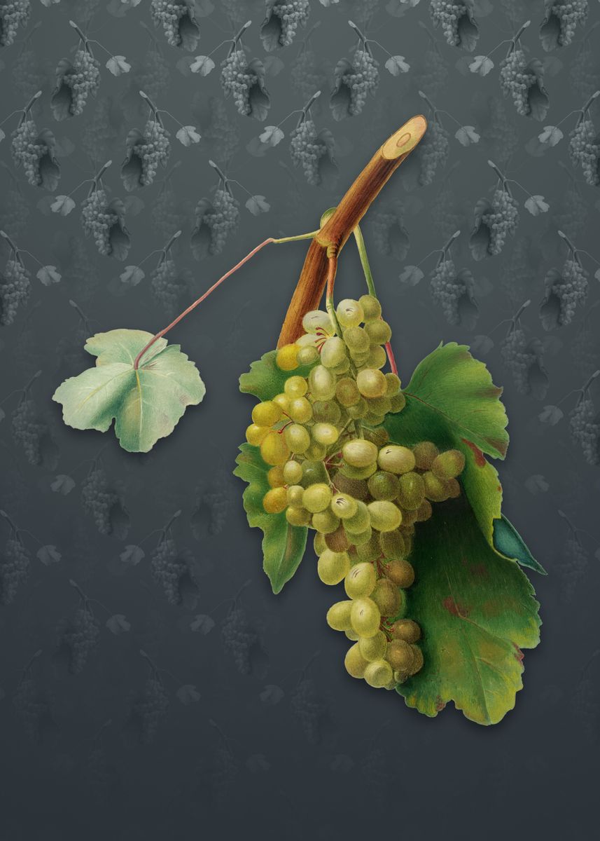 'Grape Vine on Slate Gray' Poster, picture, metal print, paint by Holy ...