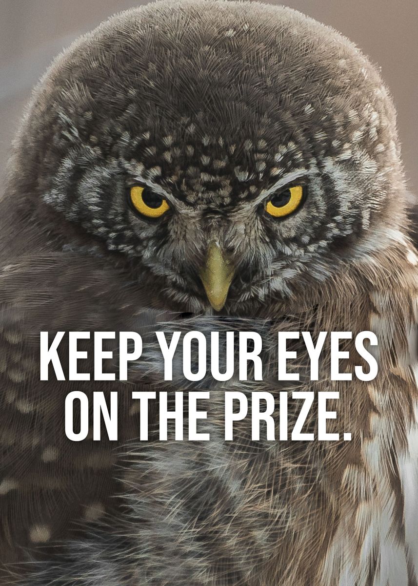 'Keep Your Eye On The Prize' Poster, picture, metal print, paint by CHAN | Displate