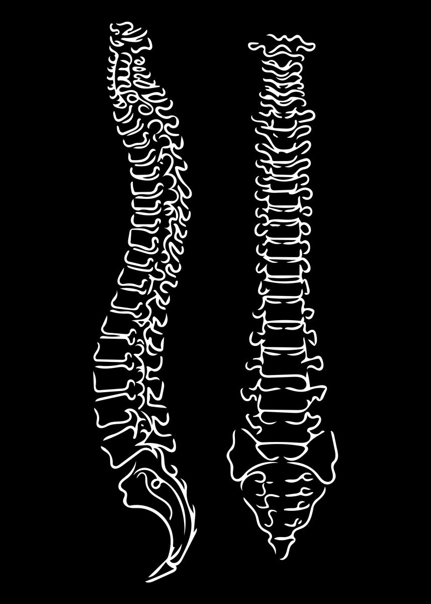 'Spine Line Art Minimal' Poster by Chris Hartmann | Displate