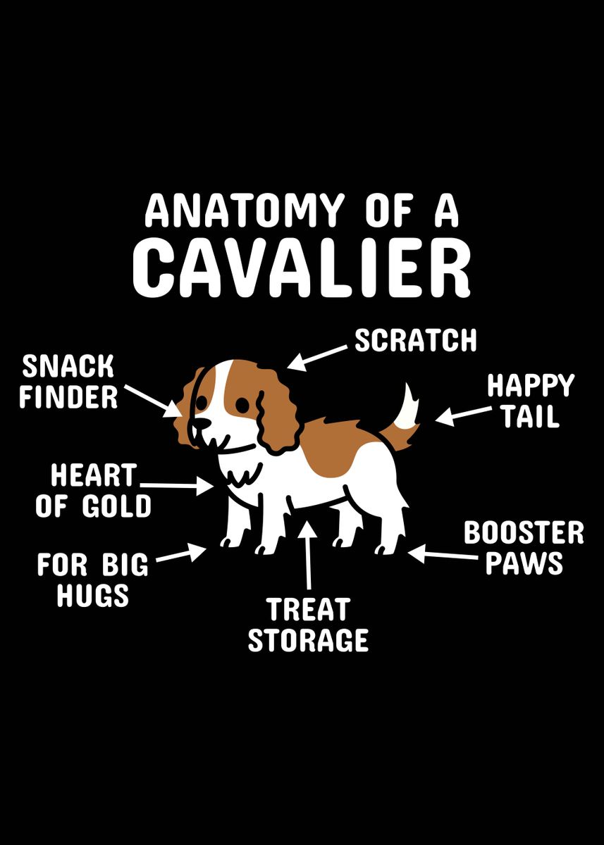 'Anatomy Of A Cavalier' Poster, picture, metal print, paint by ...
