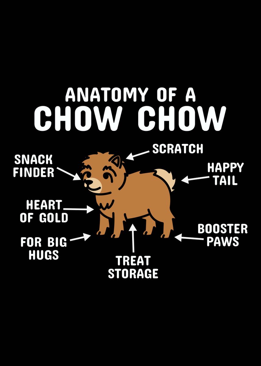 'Anatomy Of A Chow Chow' Poster by PetPrints | Displate