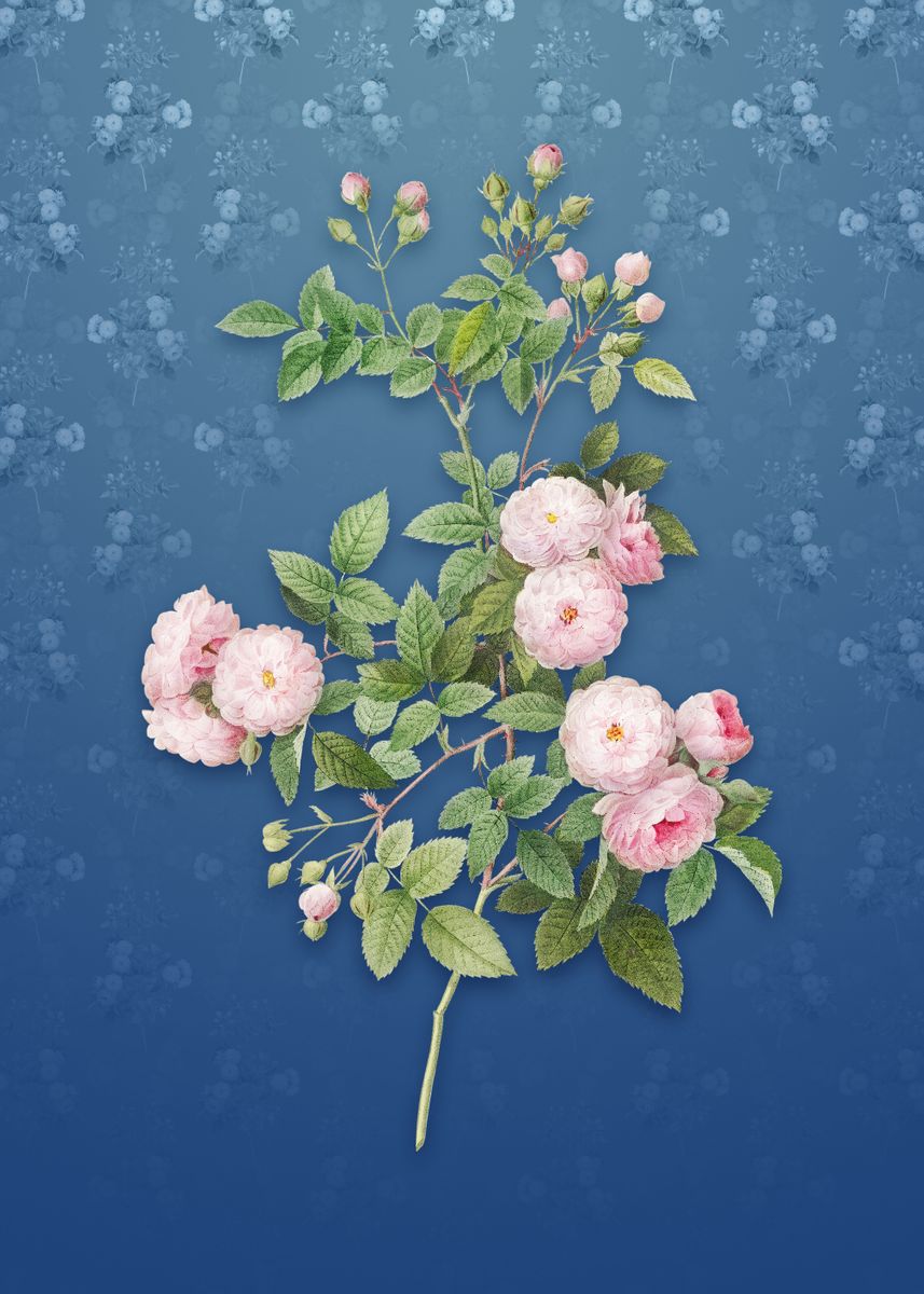 'Vintage Pink Baby Roses' Poster by Holy Rock Design | Displate