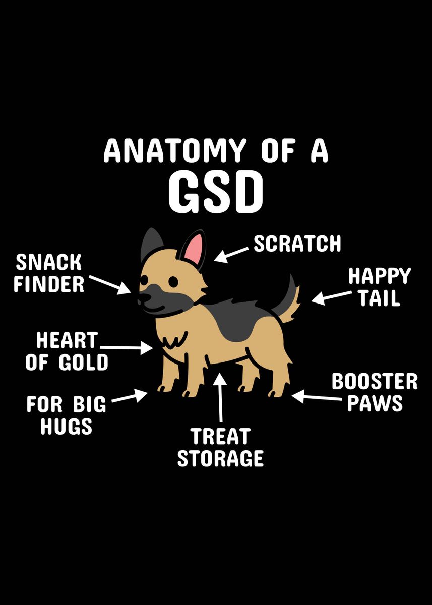 'German Shepherd Anatomy' Poster, picture, metal print, paint by PetPrints | Displate