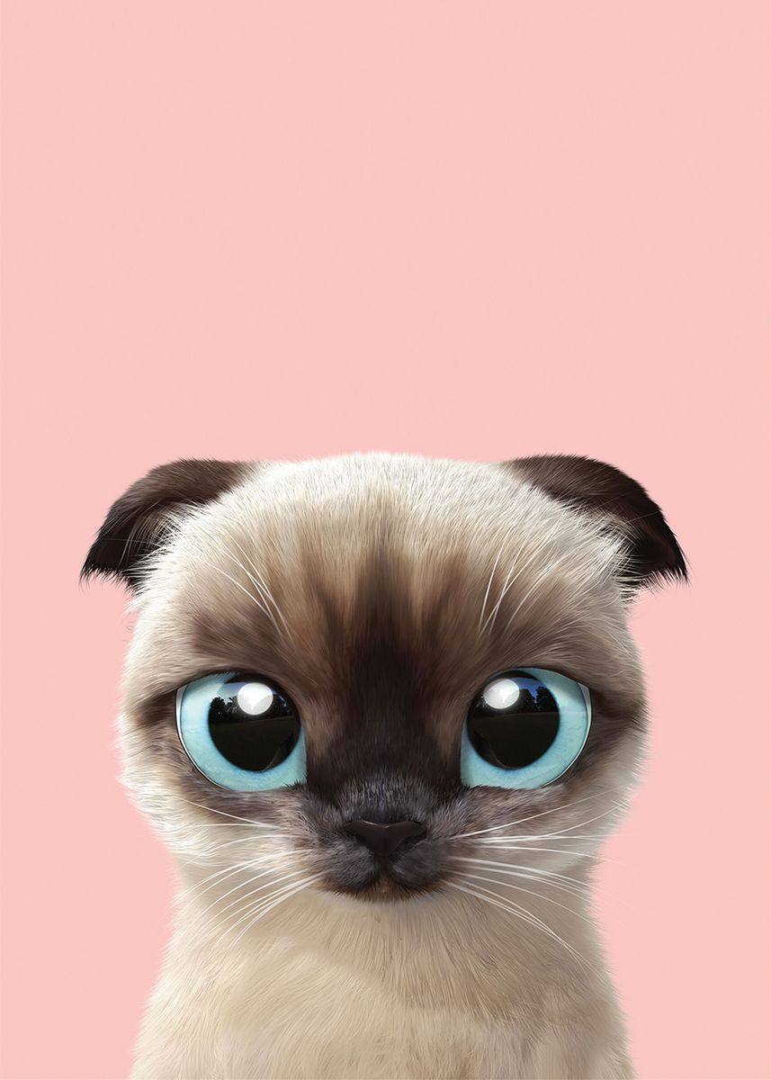 'Cat 9' Poster by Creed Creative | Displate