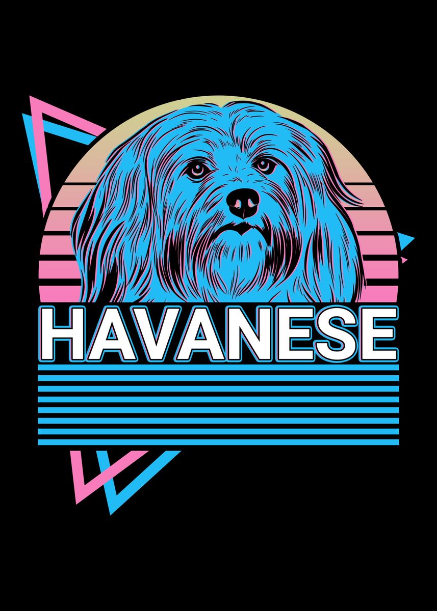 'Havanese Retro' Poster, picture, metal print, paint by AestheticAlex | Displate