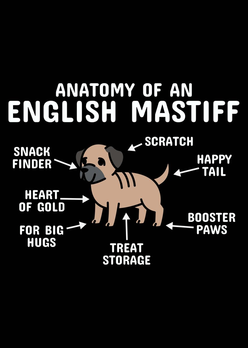 'Anatomy Of A Mastiff' Poster by PetPrints | Displate