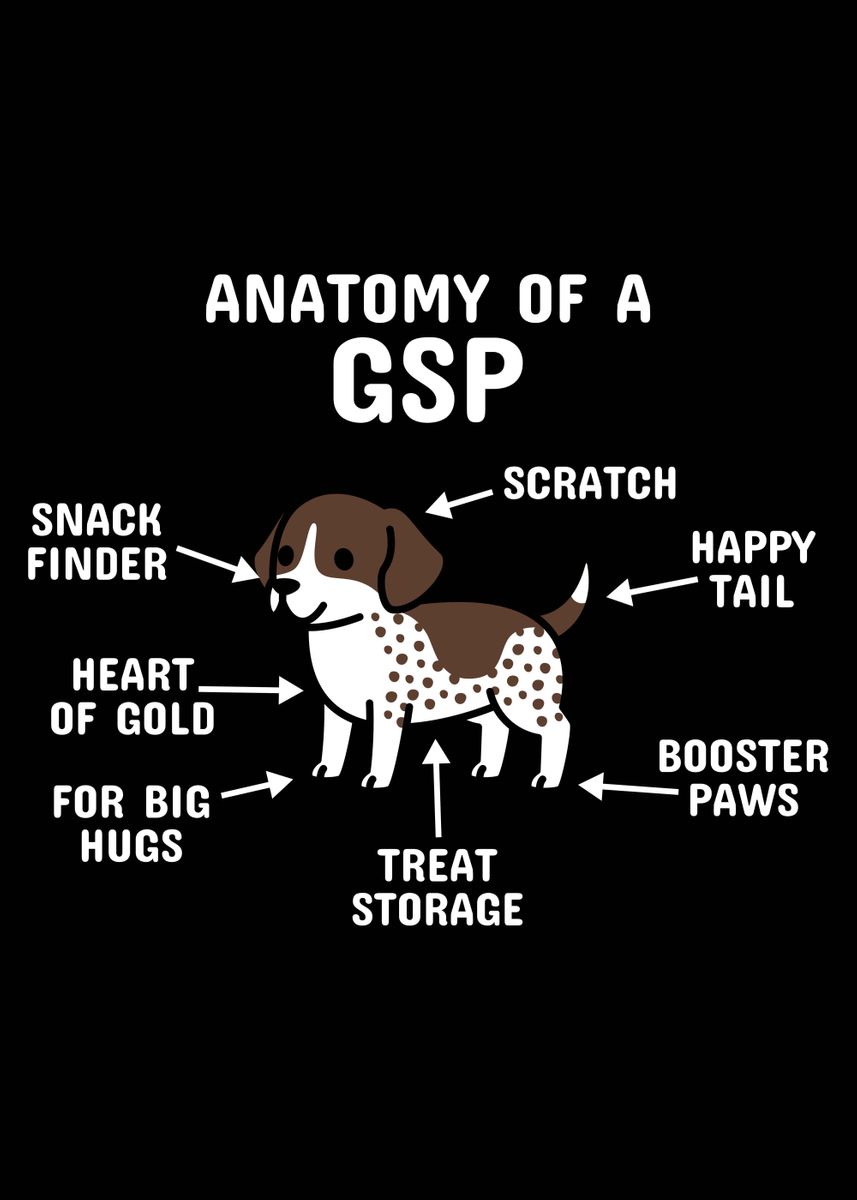 'Anatomy Of A Pointer ' Poster, picture, metal print, paint by ...