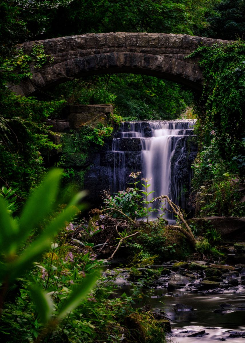 'Jesmond Dene Waterfall' Poster, picture, metal print, paint by Johnny ...