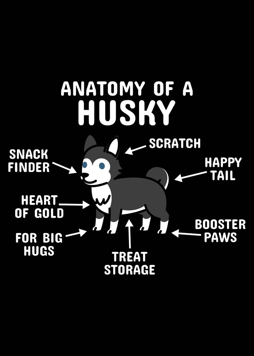 'Anatomy Of A Husky' Poster, picture, metal print, paint by PetPrints ...