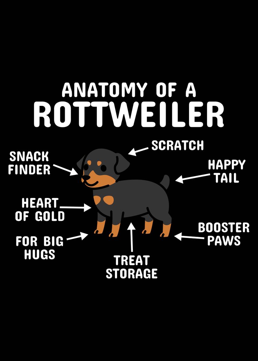 'Anatomy Of A Rottweiler' Poster, picture, metal print, paint by ...