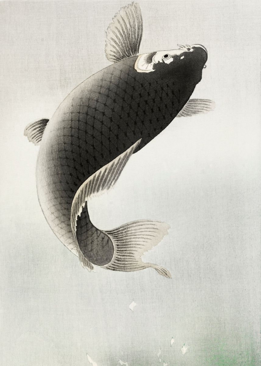 'Leaping carp 1900' Poster by Sloka | Displate