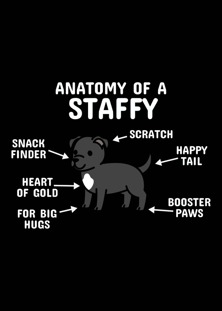 'Anatomy Of A Staffy' Poster, picture, metal print, paint by PetPrints ...