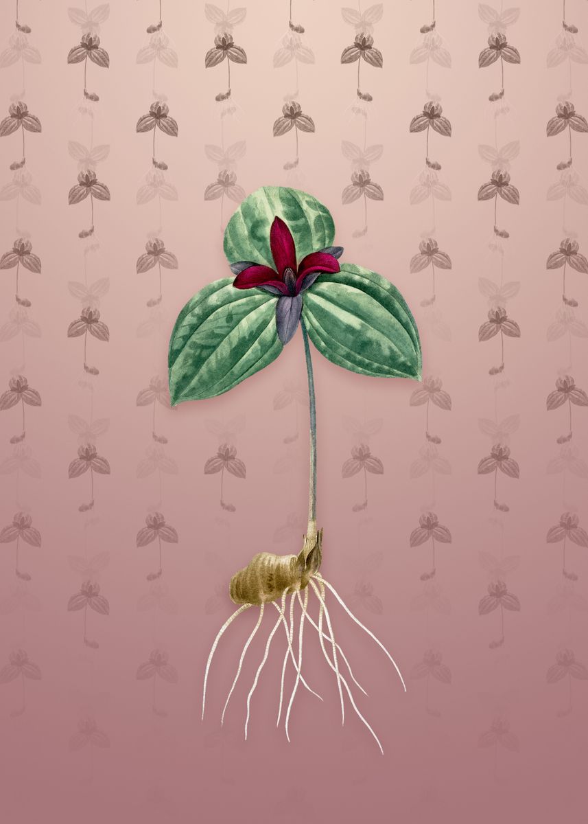 'Tri Flower on Dusty Pink' Poster, picture, metal print, paint by Holy ...