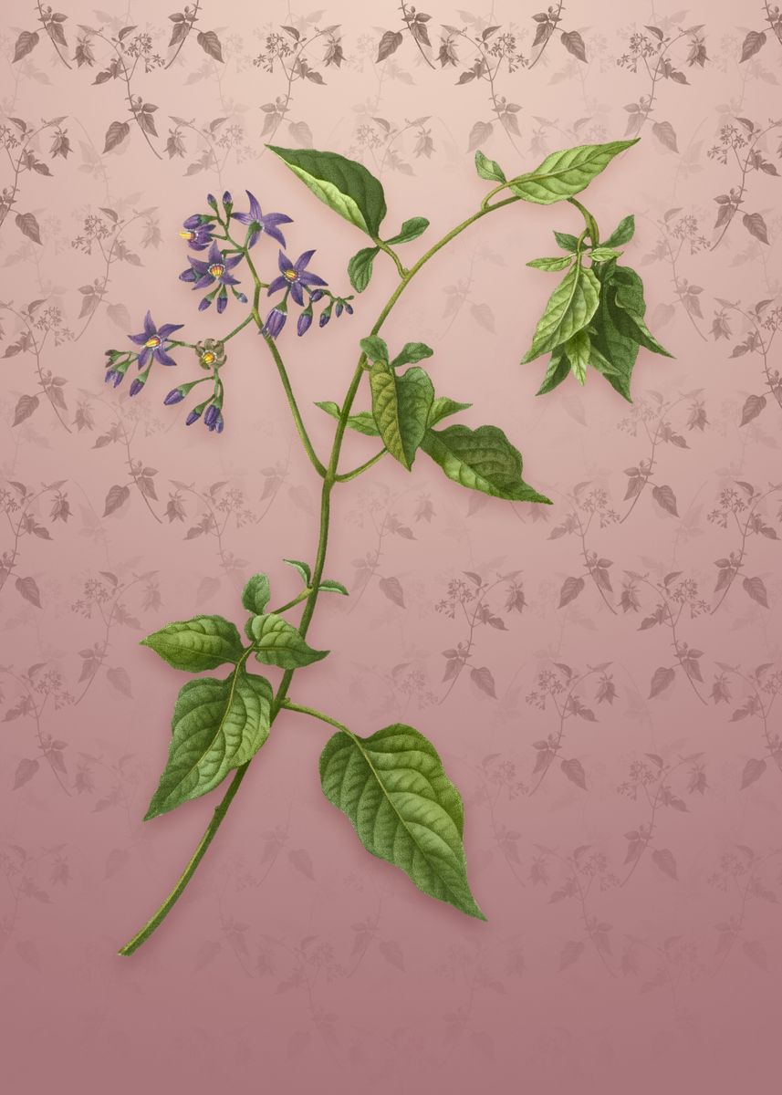 'Vintage Bittersweet' Poster, picture, metal print, paint by Holy Rock ...