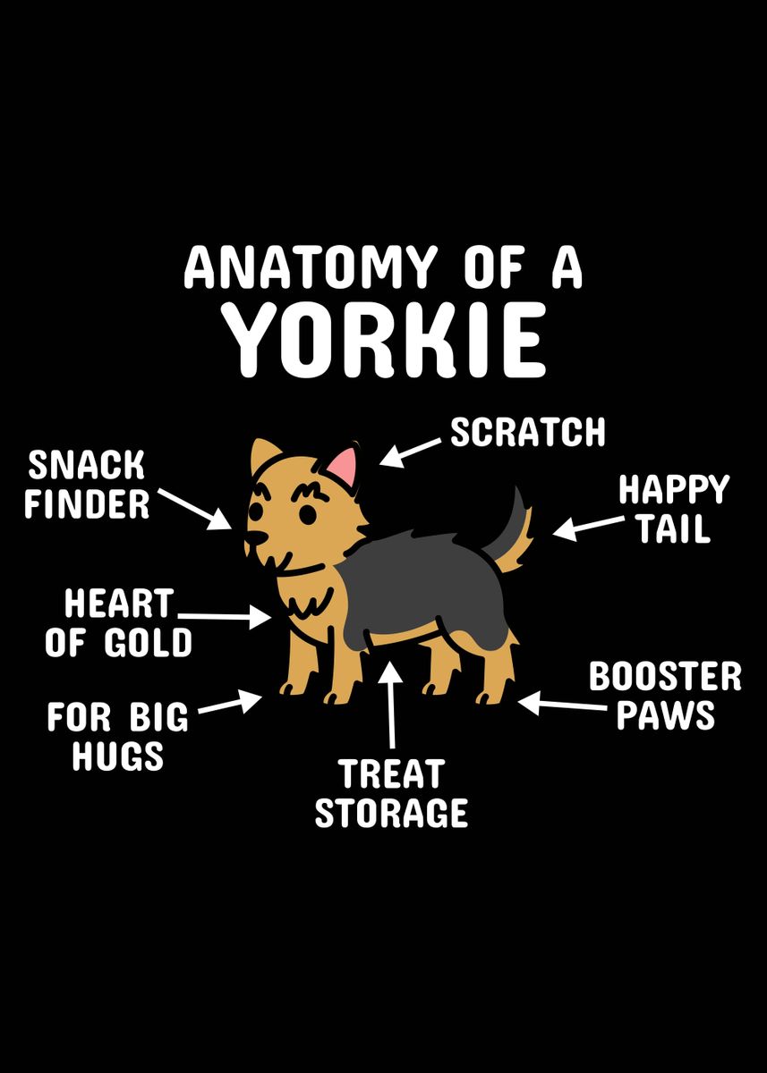 'Anatomy Of A Yorkshire Ter' Poster, picture, metal print, paint by ...